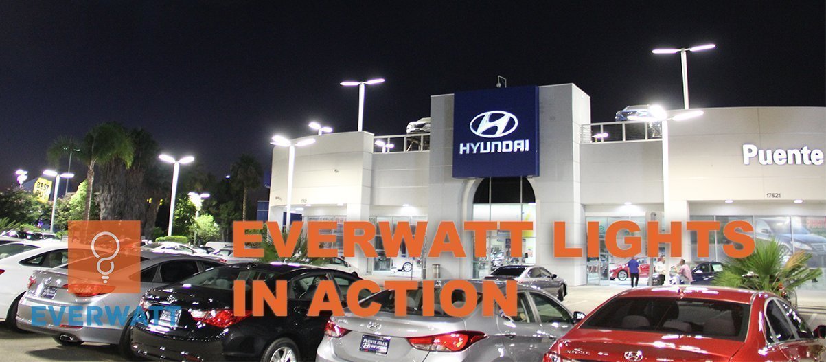 everwatt led lights in applications – EverWatt